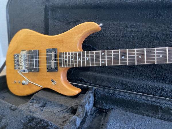 Washburn N2