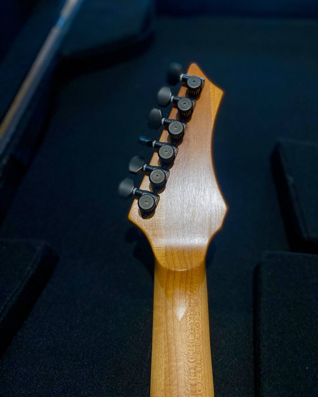 Chapman Ghost Fret Pro Concept